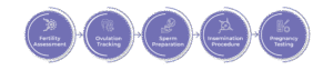 Intrauterine Insemination (IUI) treatment in Canada | NewLife Fertility