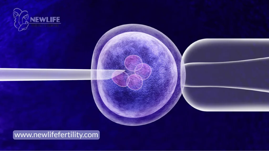 Estrace Side Effects in IVF: What to Expect During Treatment