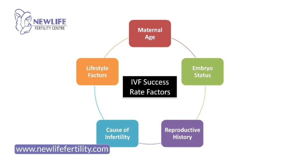 IVF Timeline: How Long Does In Vitro Fertilization Take?