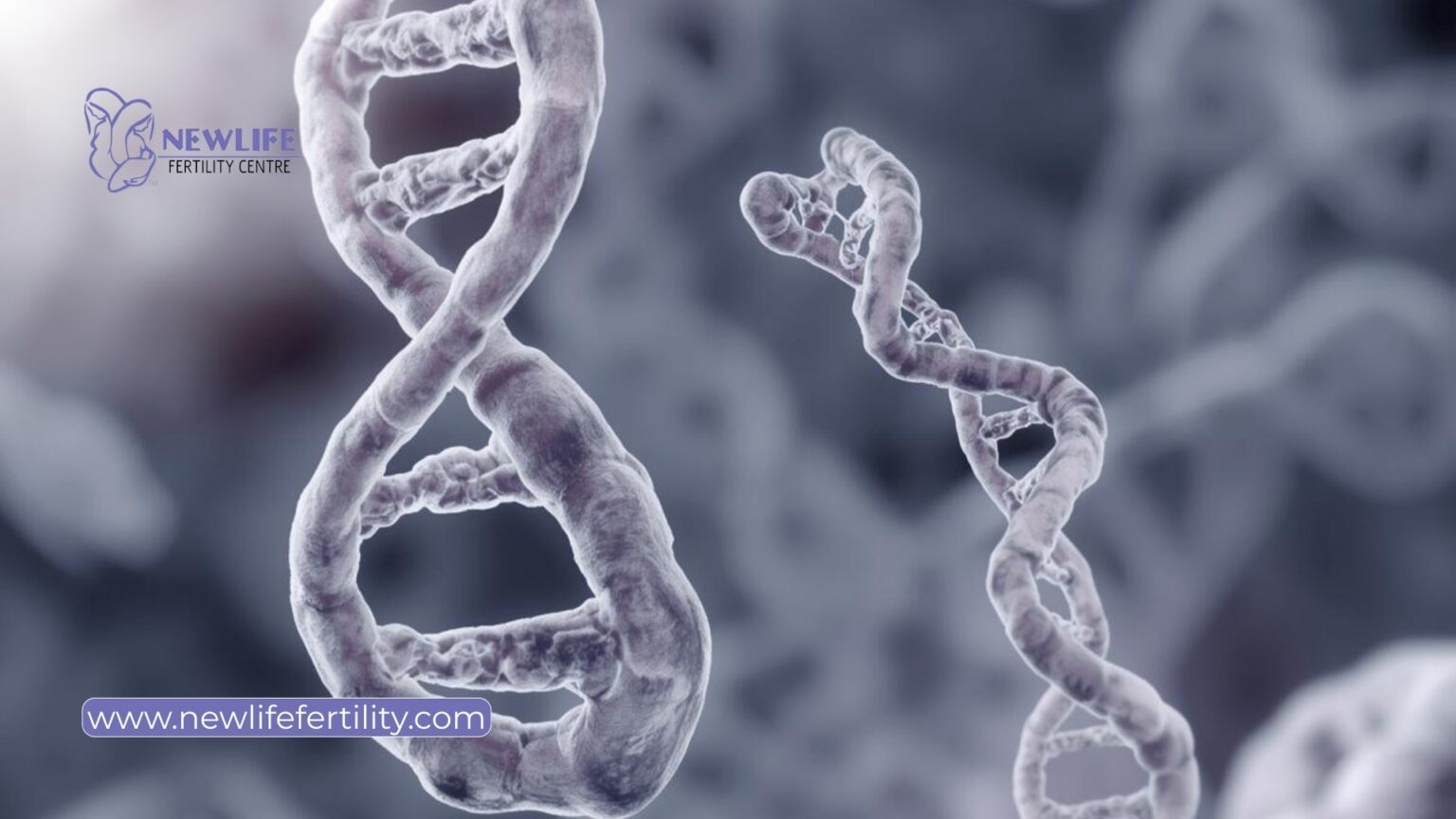 Karyotype Test: Everything You Need to Know