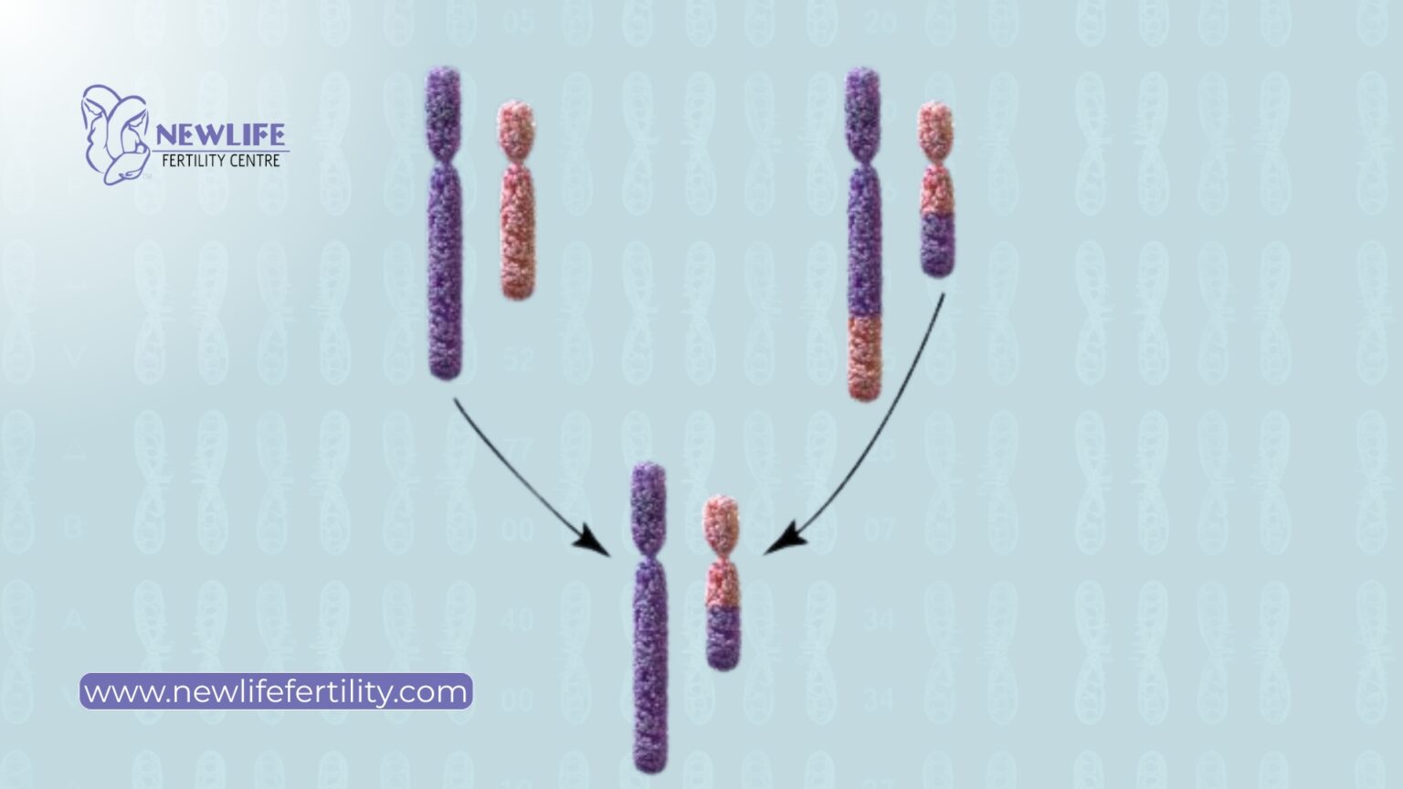 Karyotype Test: Everything You Need to Know