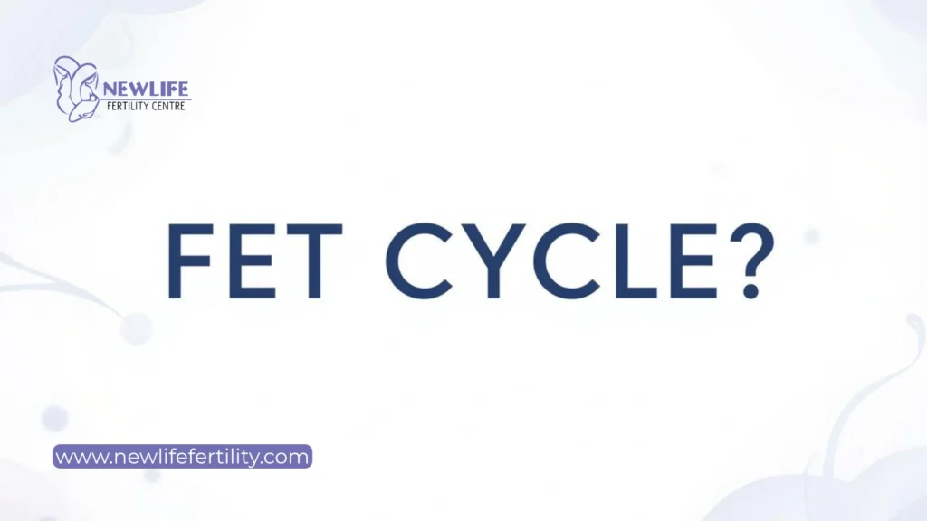 What is Frozen Embryo Transfer (FET)? A Complete Guide