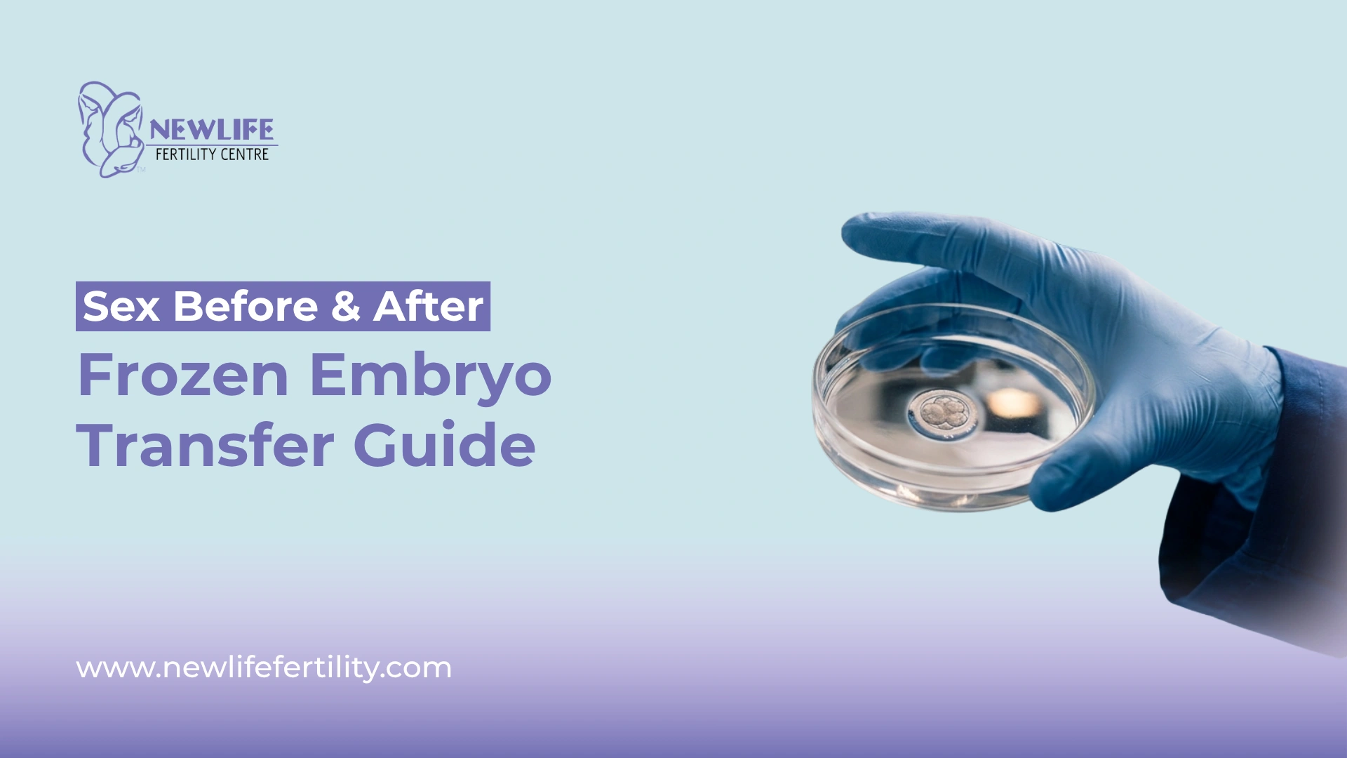 Sex Before & After Frozen Embryo Transfer Guide
